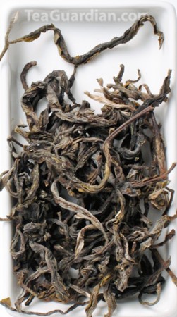 From Shengcha to Shu Cha, a Microbial Change – Tea Guardian