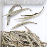 Silver Needles, the First White Tea – Tea Guardian