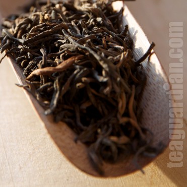 Puer, a Post-fermented Tea – Tea Guardian