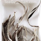Silver Needles, the First White Tea – Tea Guardian