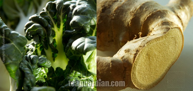 TCM: What it Has to do with Tea – Tea Guardian