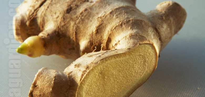 TCM: What it Has to do with Tea – Tea Guardian