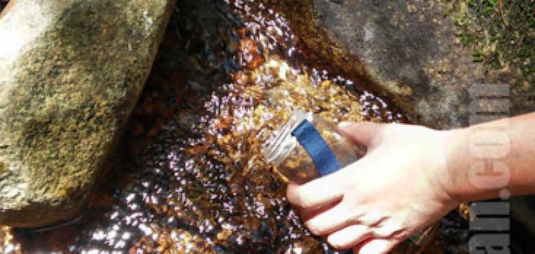 Spring Water vs Tap Water – Tea Guardian