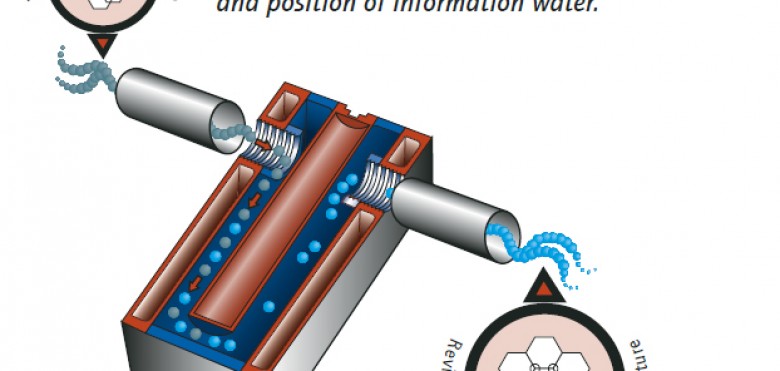 Spring Water vs Tap Water – Tea Guardian