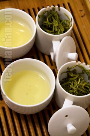 Spring Water vs Tap Water – Tea Guardian