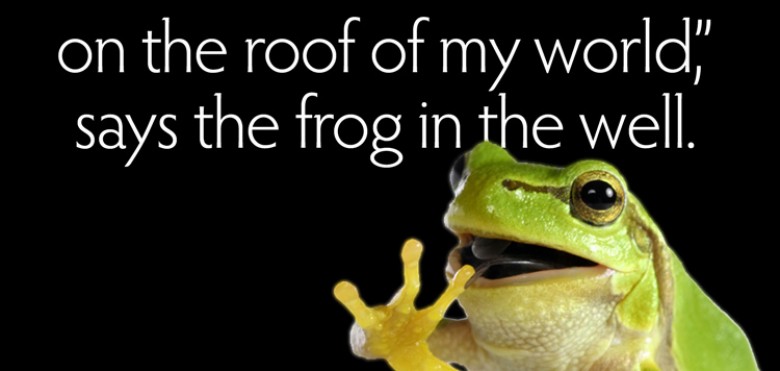 Frog in the Well – Tea Guardian