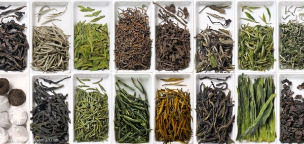 Naming of a Tea – Tea Guardian