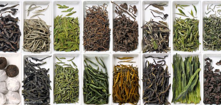 Naming of a Tea – Tea Guardian